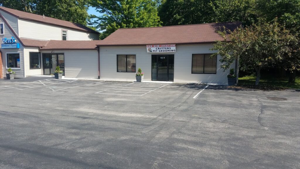 Critters Pet Grooming – ShiDog